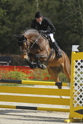 Petz 5 horses - gagasboat